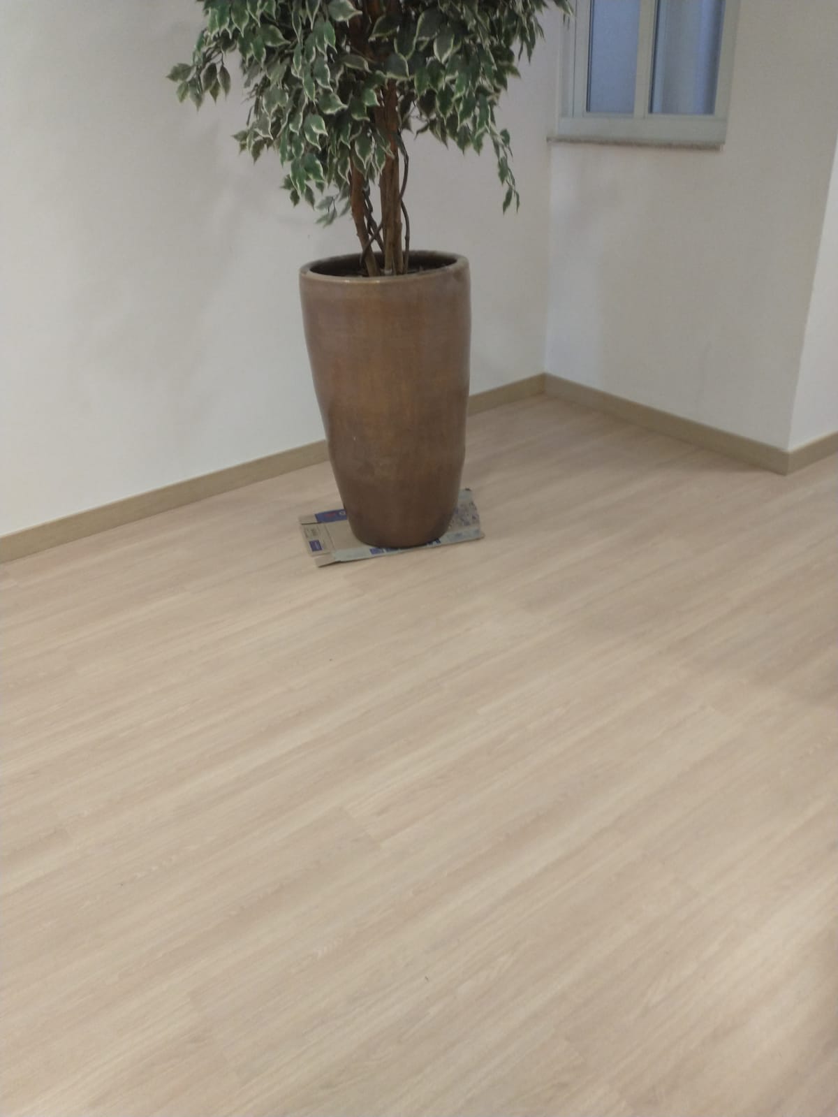 CARVALHO VANILLA – DF PISOS